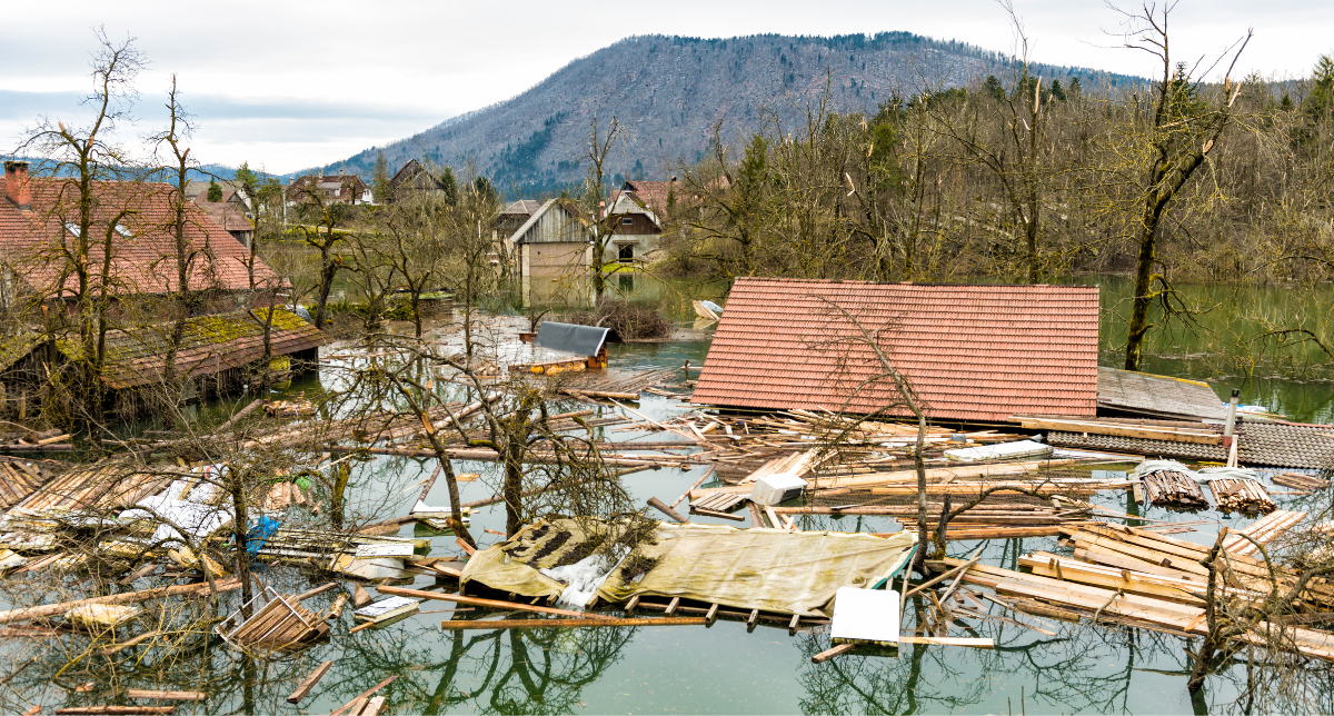 Responding to Disasters with Sustainability in Mind: The Importance of ...